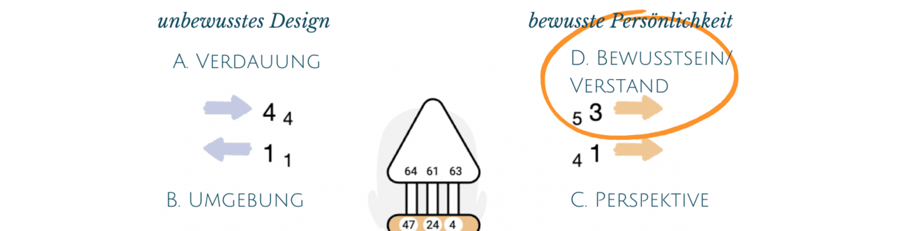 Einführung in die Human Design Variablen - Human Design Transformation