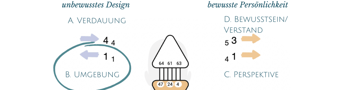 Einführung in die Human Design Variablen - Human Design Transformation
