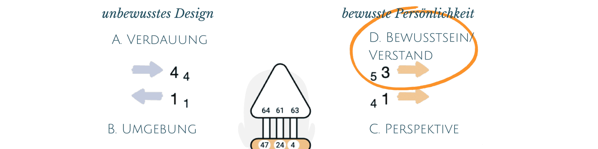 Einführung in die Human Design Variablen - Human Design Transformation